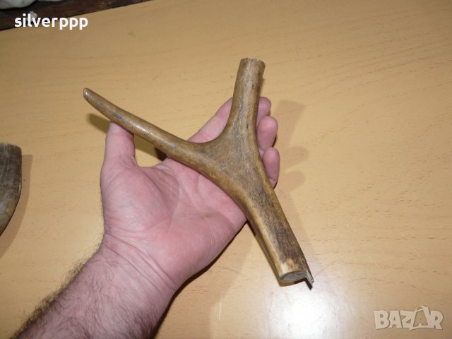 Парче еленов рог в Други ценни предмети в гр Пловдив Id39619793